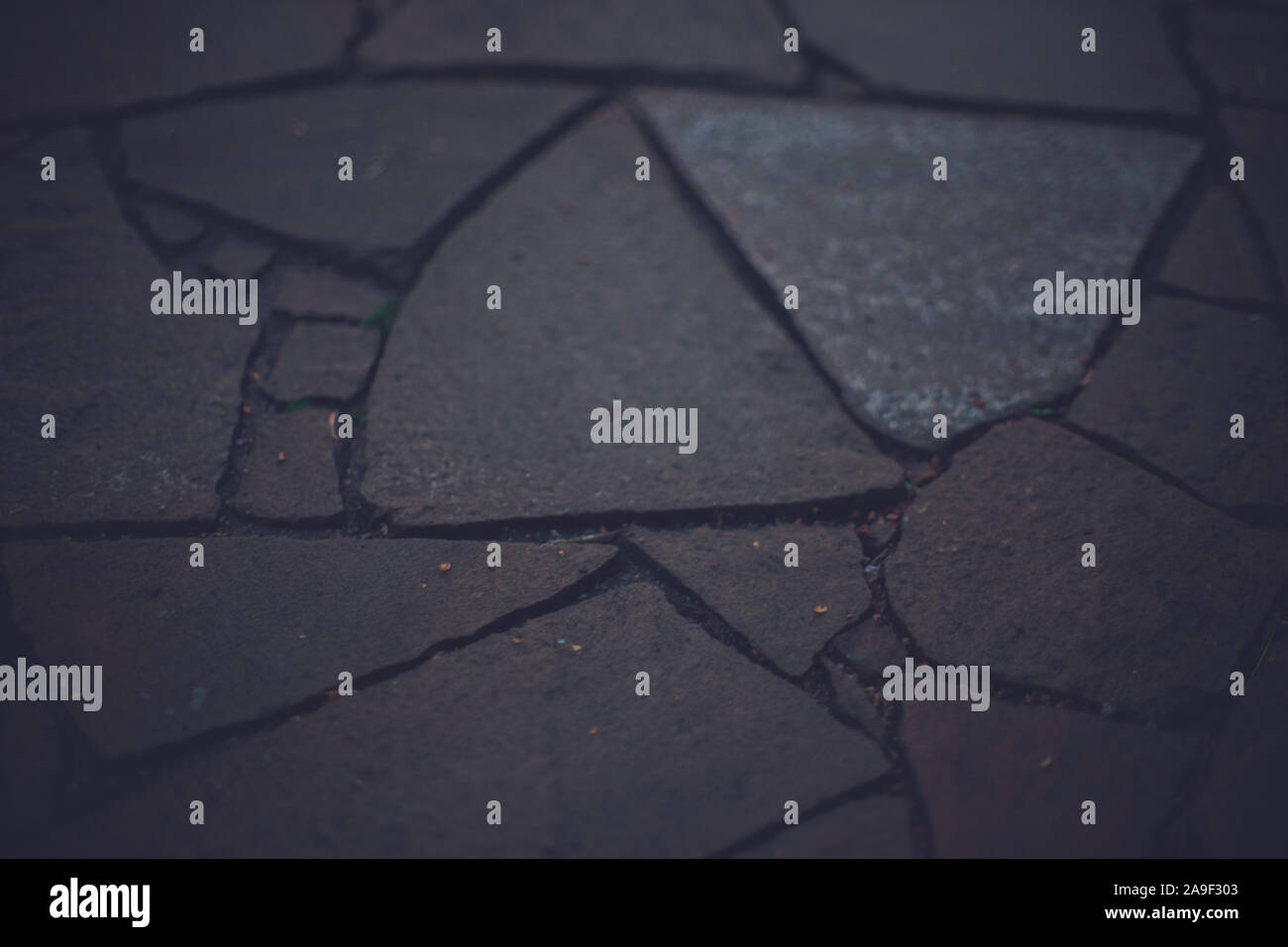 Wild stone pavement closeup. Irregular shapes pattern Stock Photo - Alamy