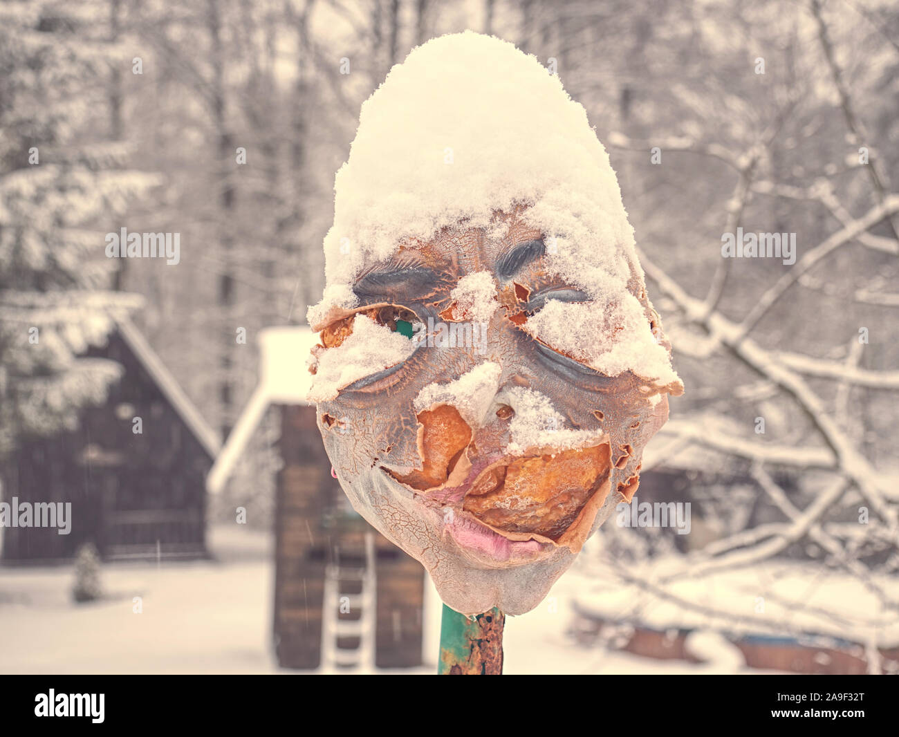 Scary woodoo mask or person head on fence. An inhuman head impaled on a ...