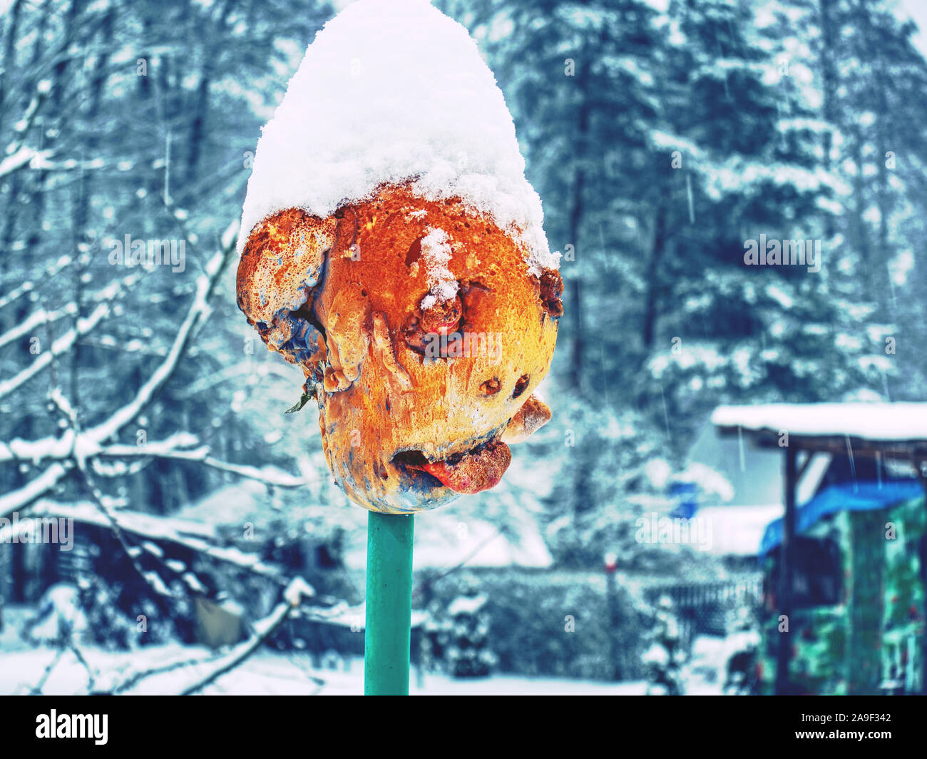 Scary woodoo mask or person head on fence. An inhuman head impaled on a ...