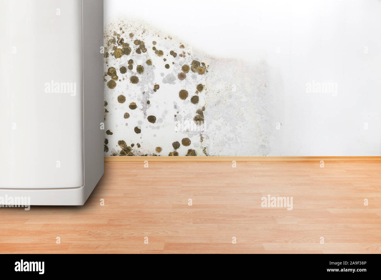 Refrigerator mold hi-res stock photography and images - Alamy