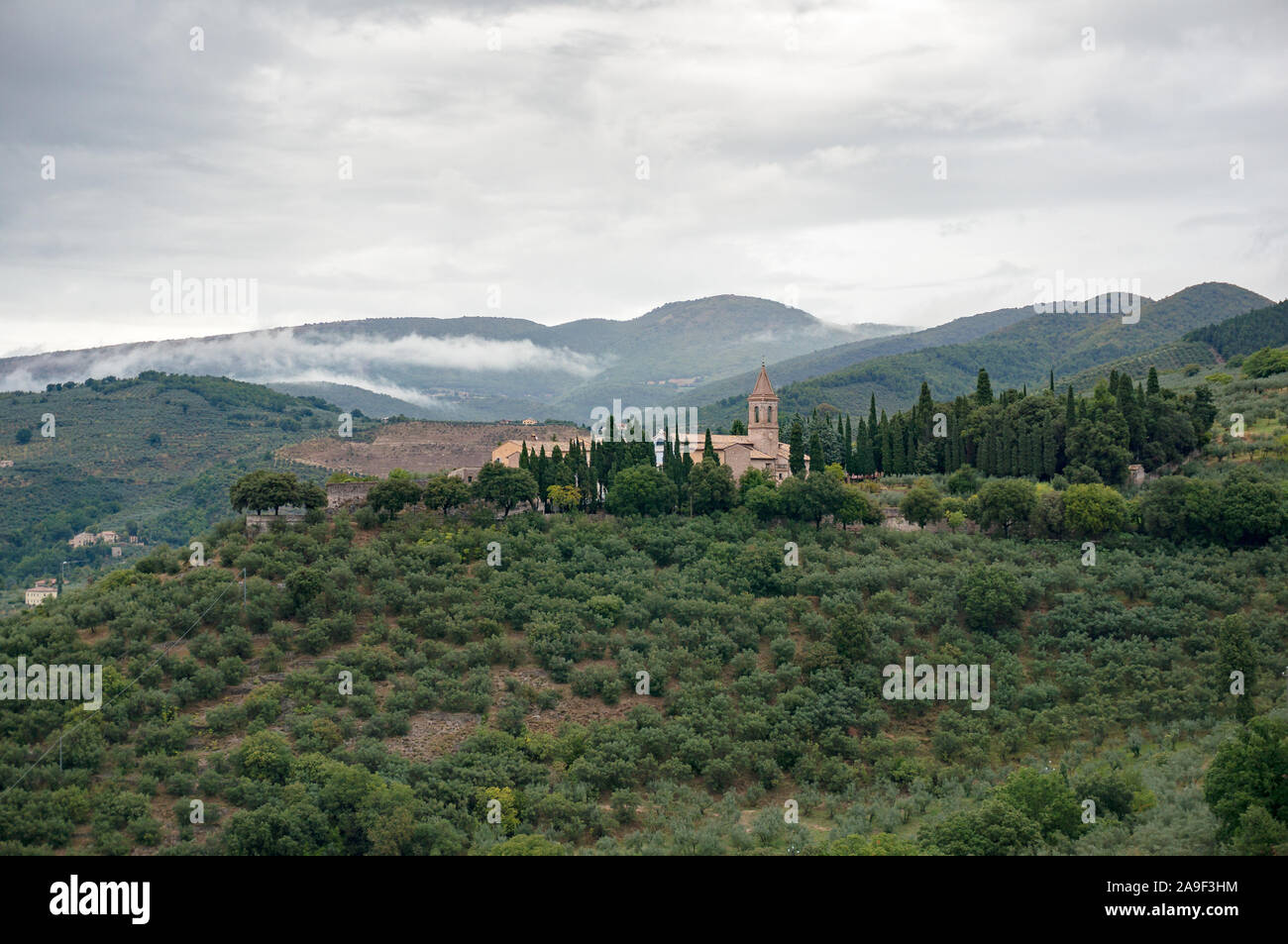 Hill of olive trees hi-res stock photography and images - Alamy
