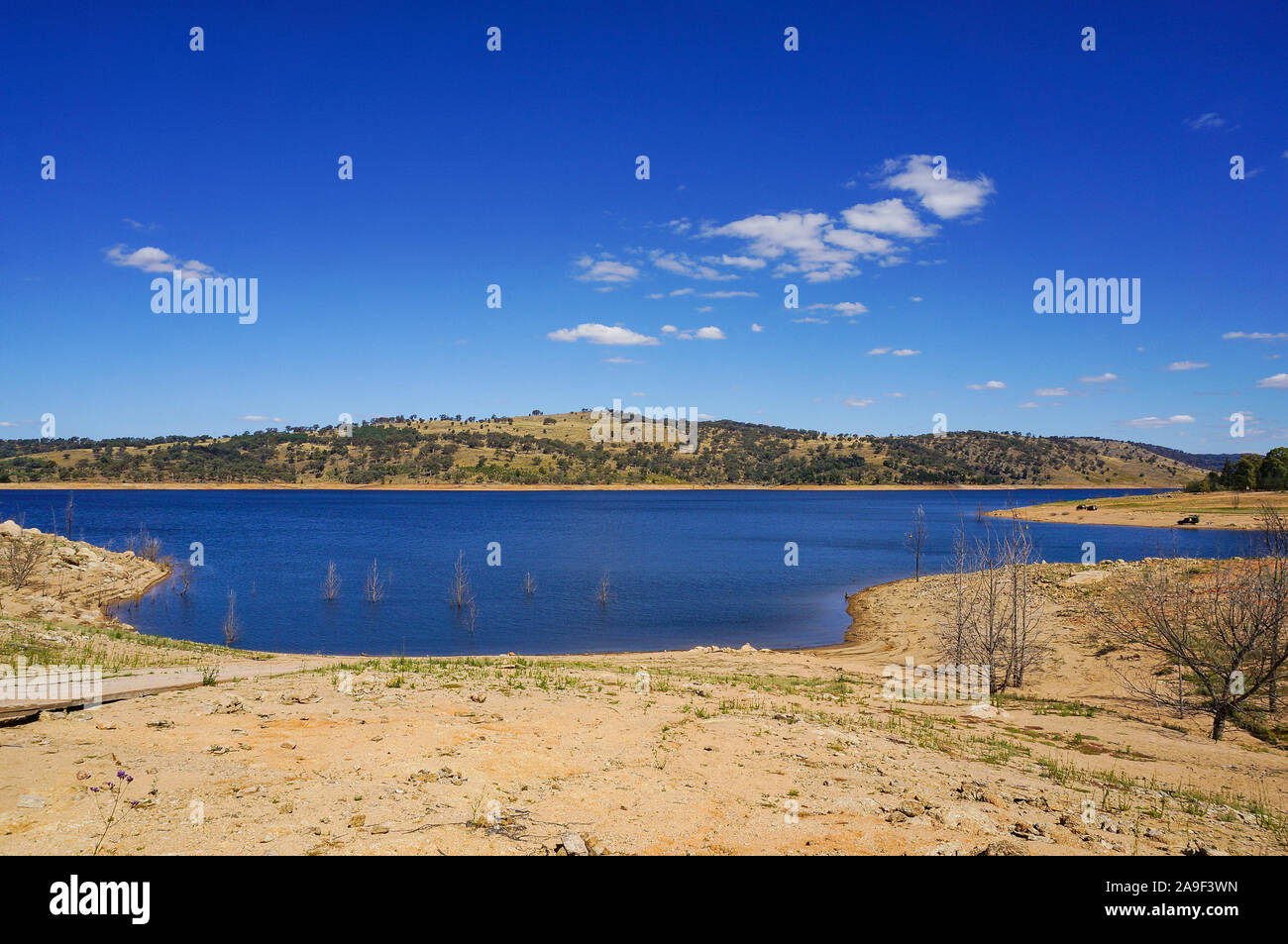 Landscape of dried lake and trees on drought with blue sky, Global ...