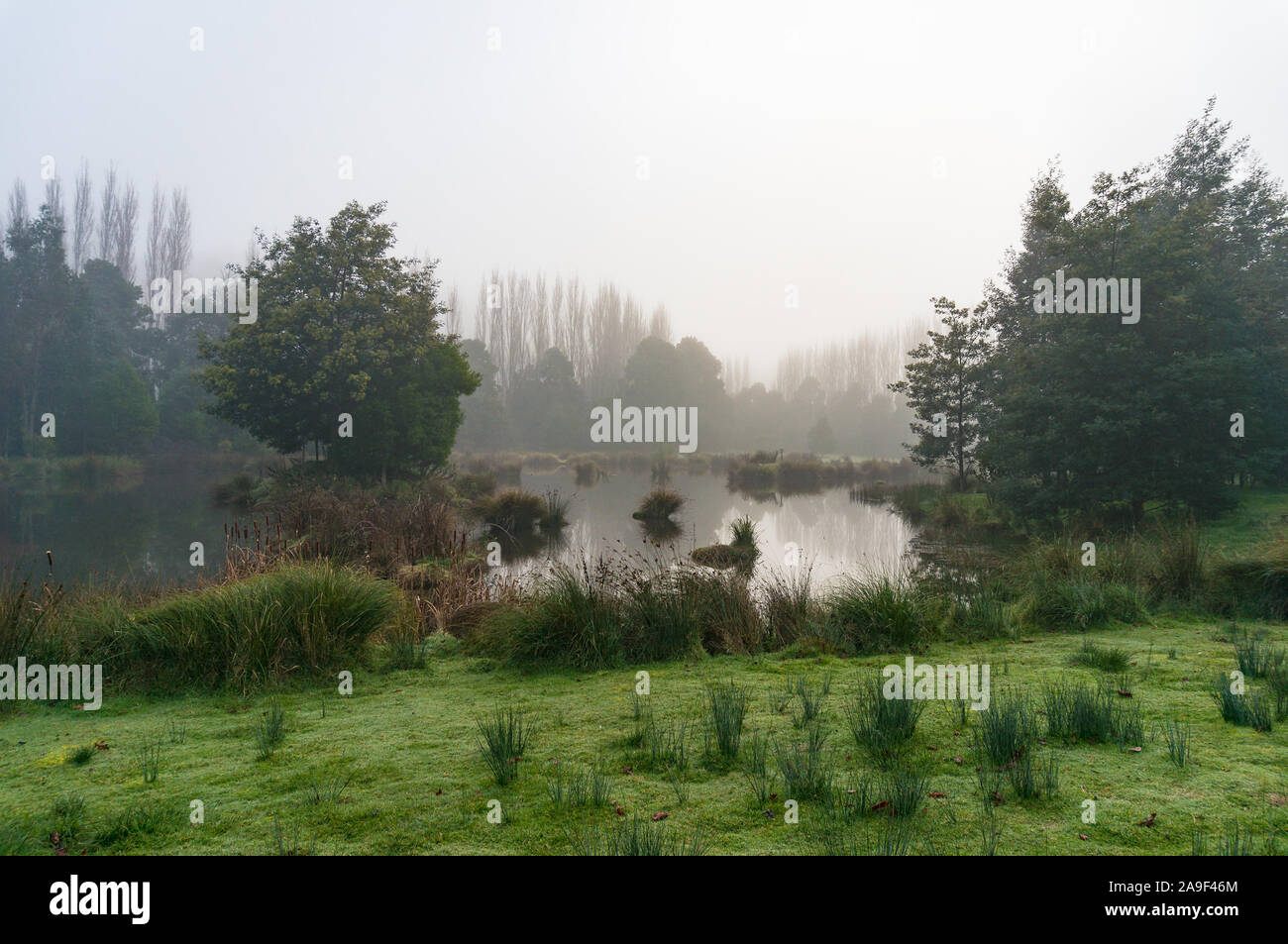 Quagmire landscape hi-res stock photography and images - Alamy
