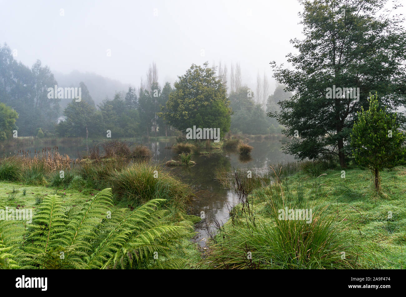 Quagmire landscape hi-res stock photography and images - Alamy