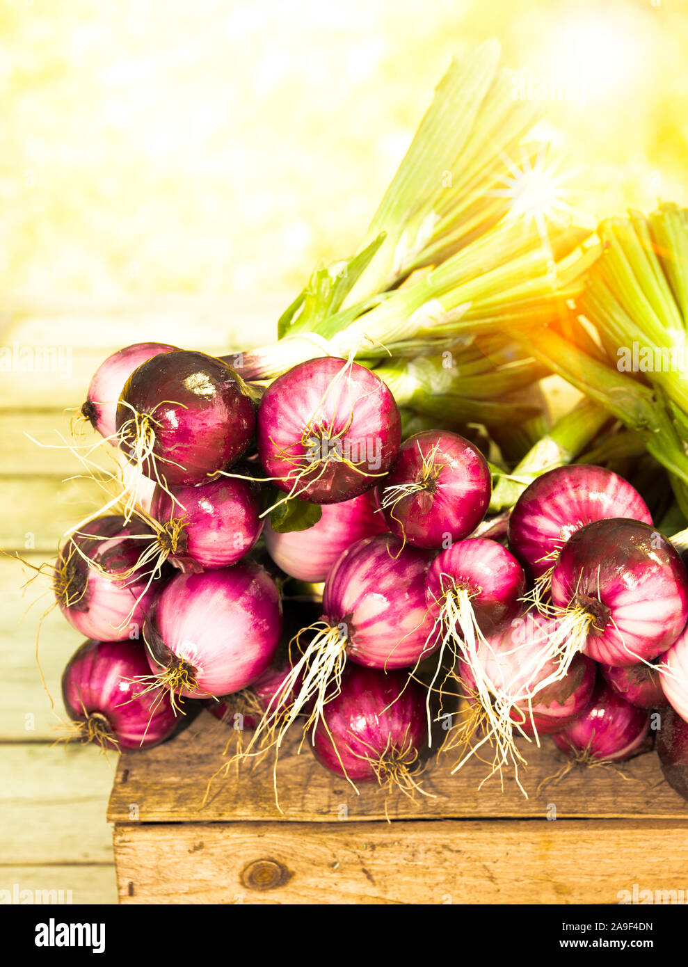 Beam onion hi-res stock photography and images - Alamy