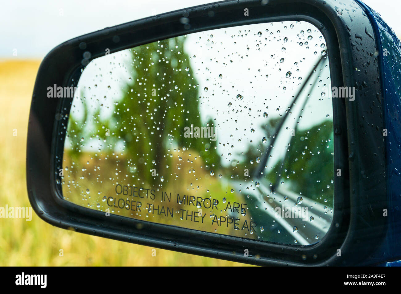 Rearview Mirror Storm