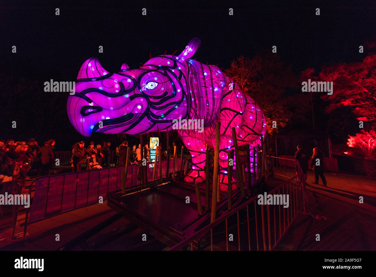 Sydney, Australia - June 11, 2016: Vivid Sydney at Taronga Zoo. Light ...