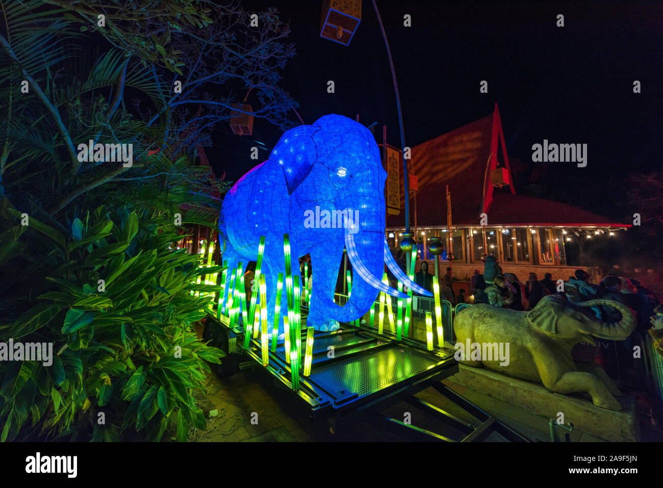 Sydney, Australia - June 11, 2016: Vivid Sydney at Taronga Zoo. Light ...