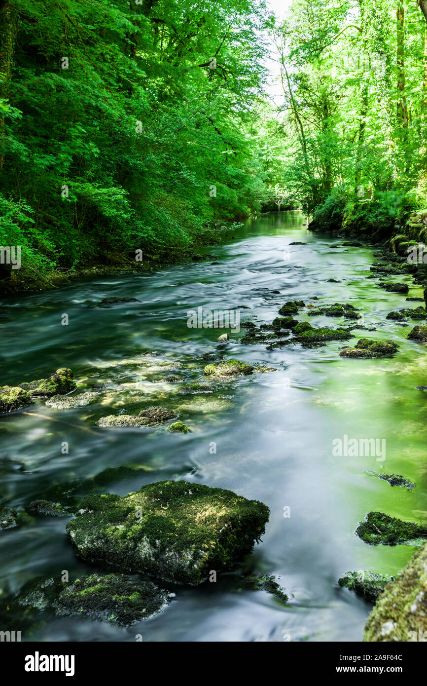 Brook in the forest Stock Photo - Alamy
