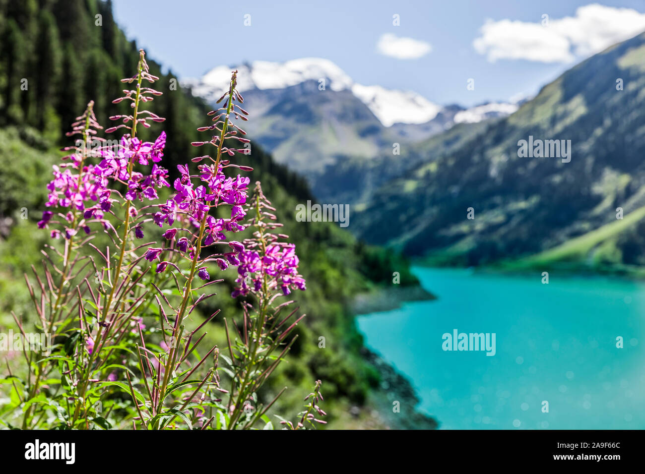 Kaunertal glacier park hi-res stock photography and images - Alamy