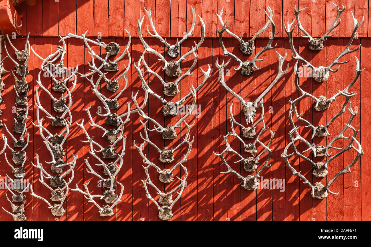 Hunting lodge antlers hi-res stock photography and images - Alamy