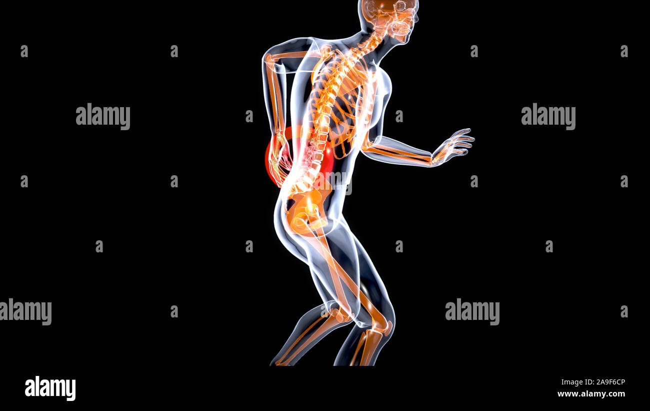 Man suffering from severe back pain Stock Photo - Alamy