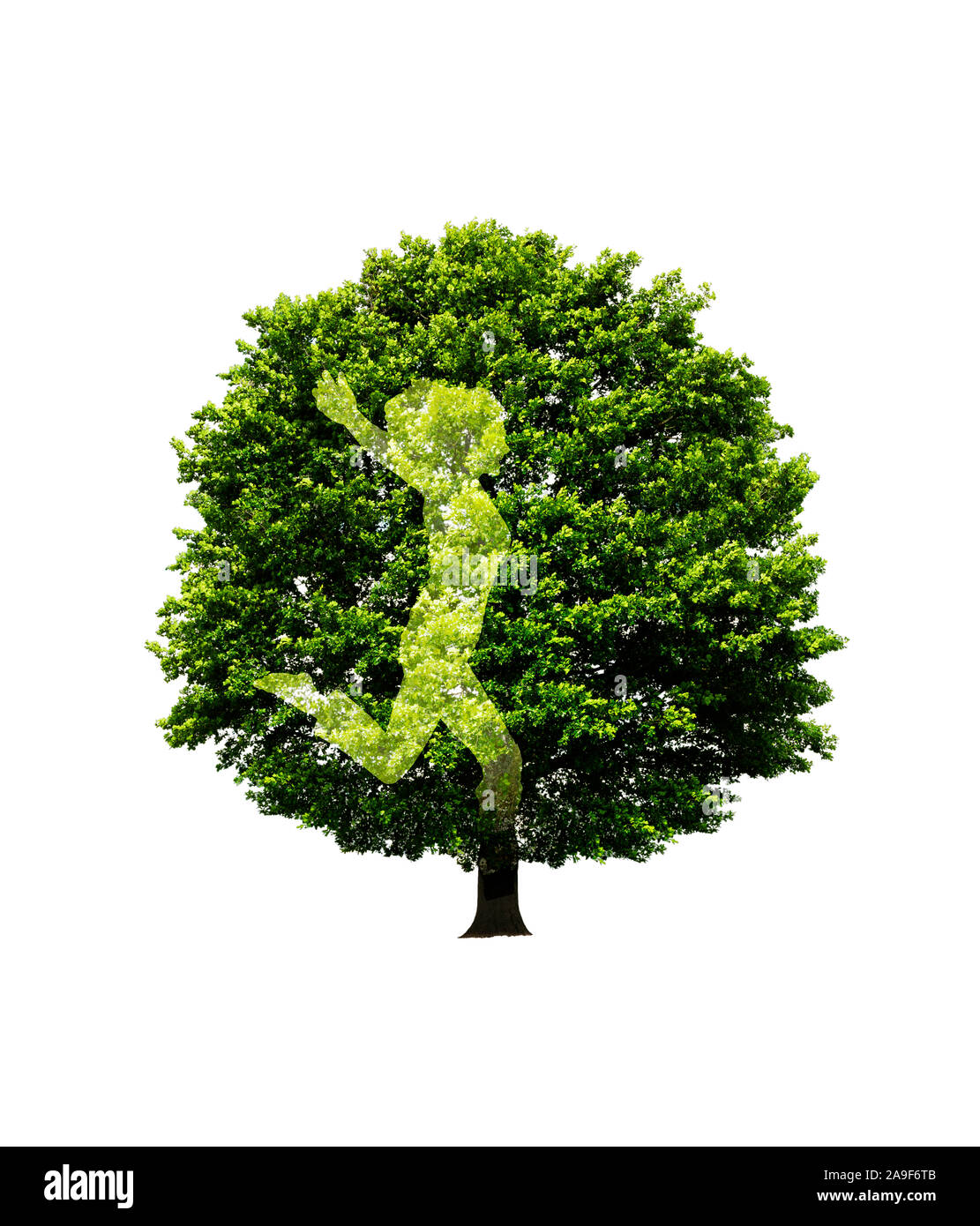 Running tree Cut Out Stock Images & Pictures - Alamy