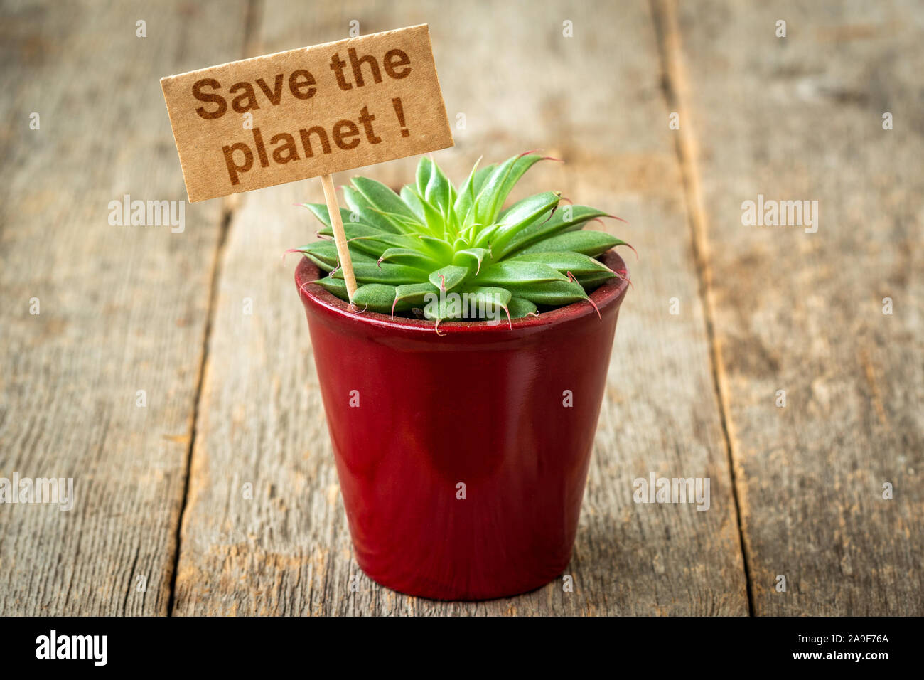 Take care of the environment hi-res stock photography and images - Alamy