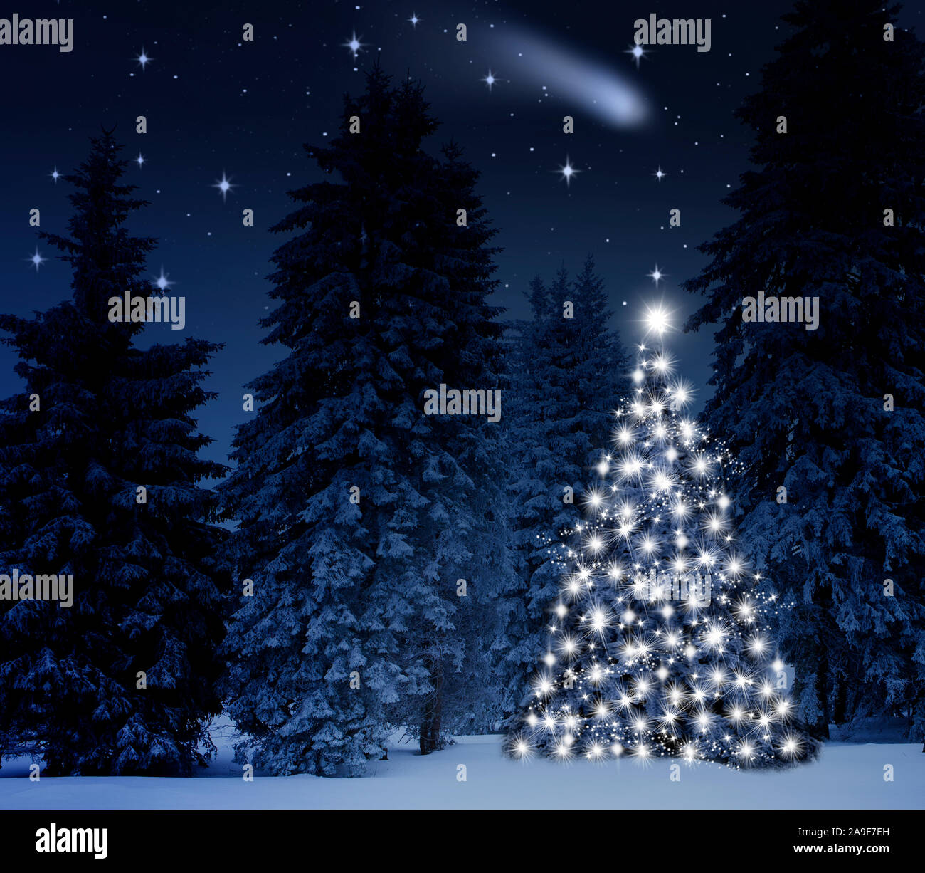 Christmas tree in the forest hi-res stock photography and images - Alamy