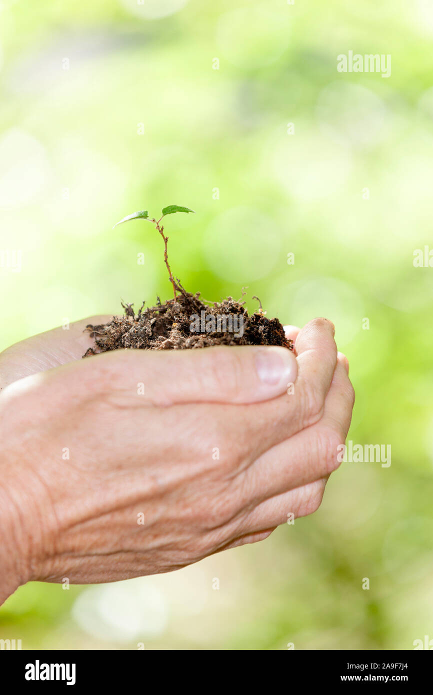 Nurturing environments hi-res stock photography and images - Alamy