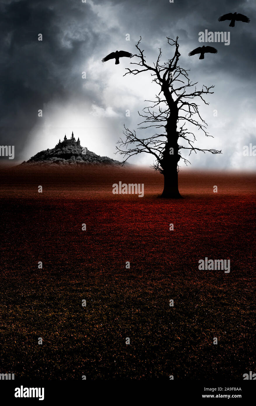 Bare tree in front of castle Stock Photo - Alamy