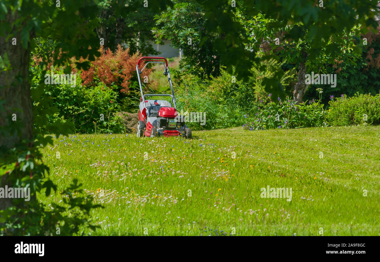 Cut the lawn Stock Photo - Alamy