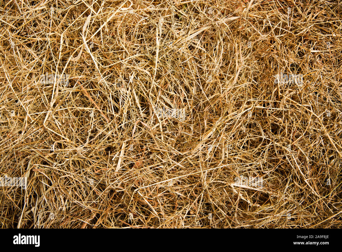 Haystacks drying hi-res stock photography and images - Alamy