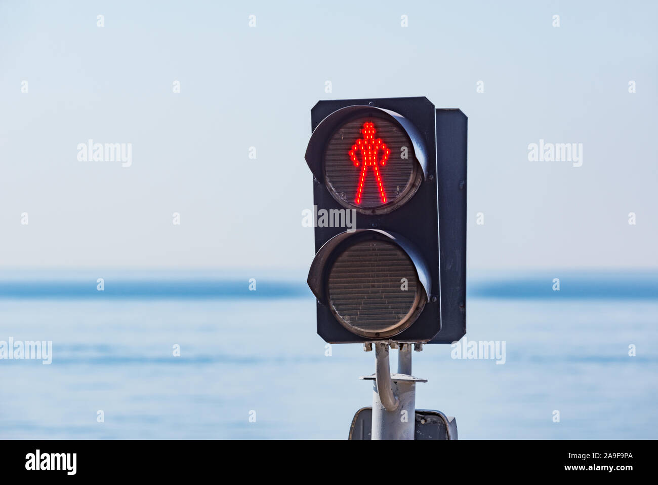 The green light of traffic light on the pedestrian crossing of a human ...