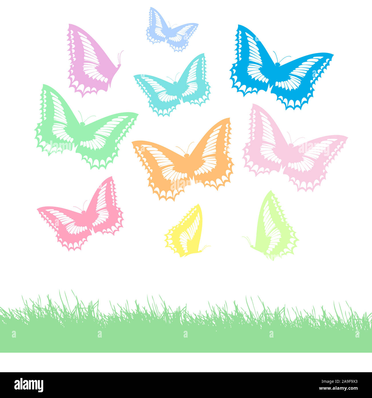 Multi colored butterflies Cut Out Stock Images & Pictures - Alamy