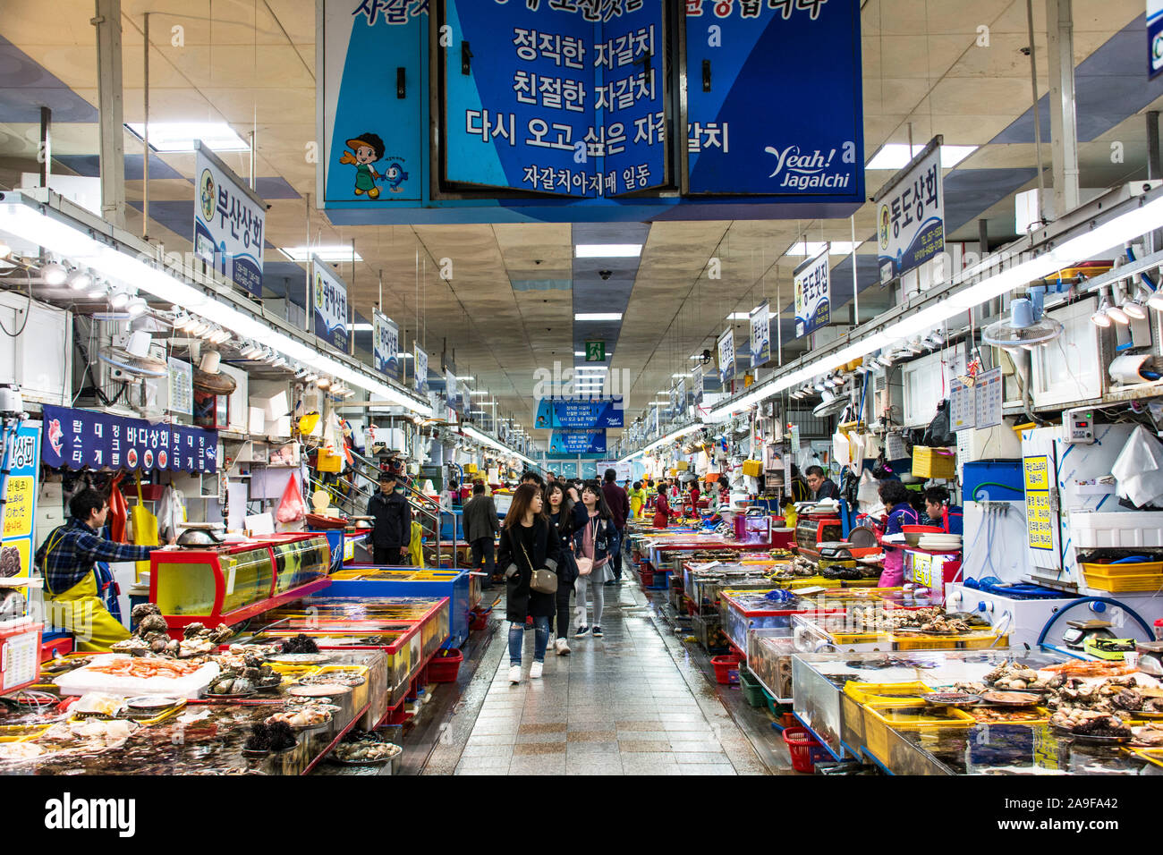 Fish market hall on the 'Jagalchi fish market' in Busan Stock Photo - Alamy