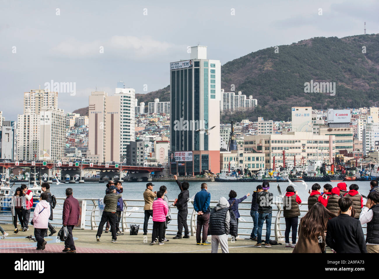 View at the skyline of Busan Stock Photo - Alamy