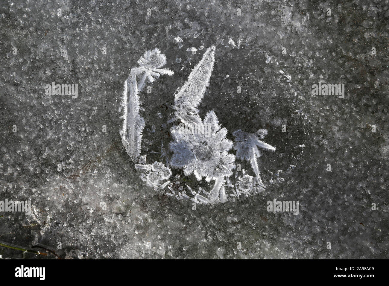 Freeze samples hi-res stock photography and images - Alamy