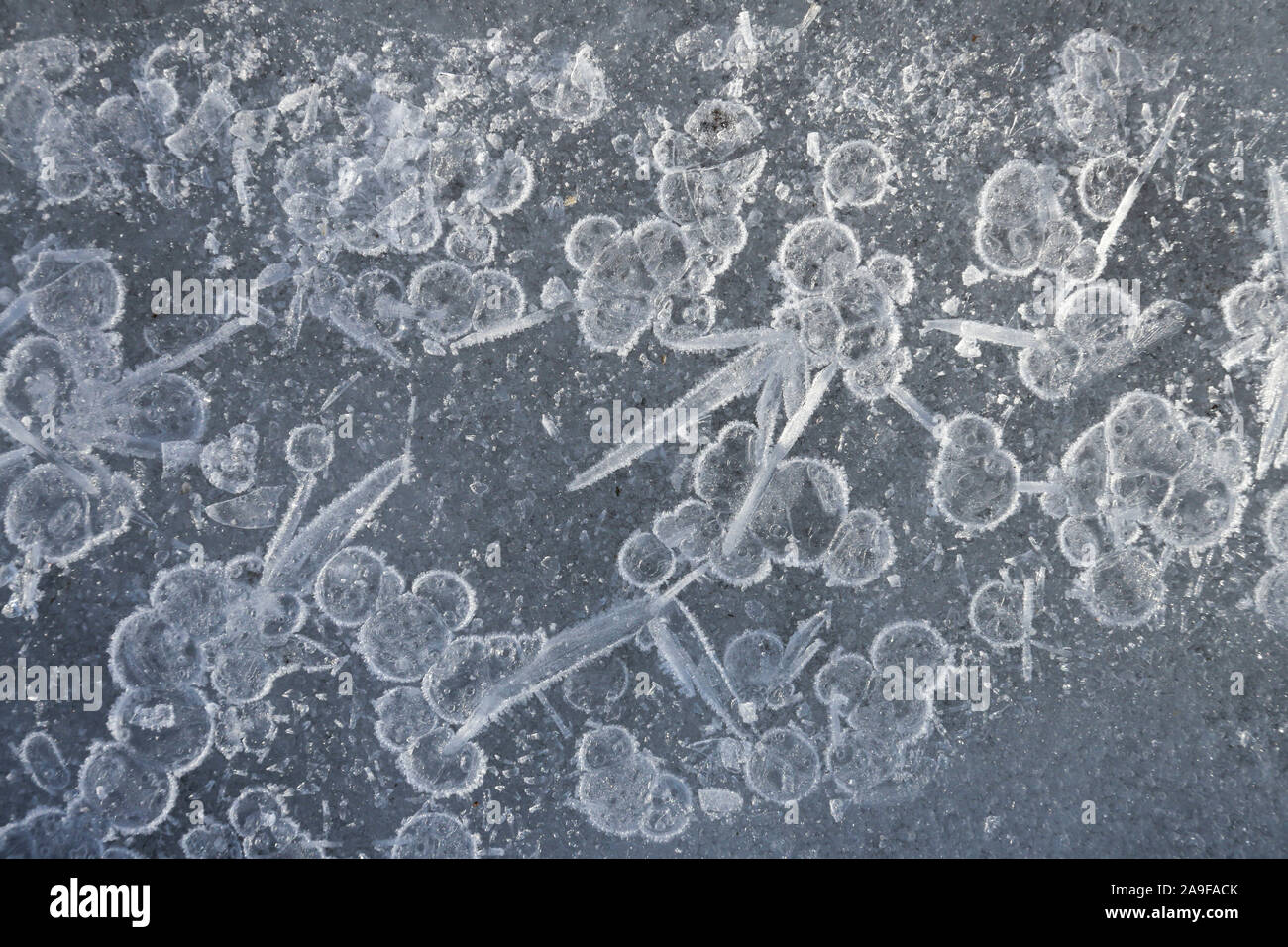 Freeze samples hi-res stock photography and images - Alamy