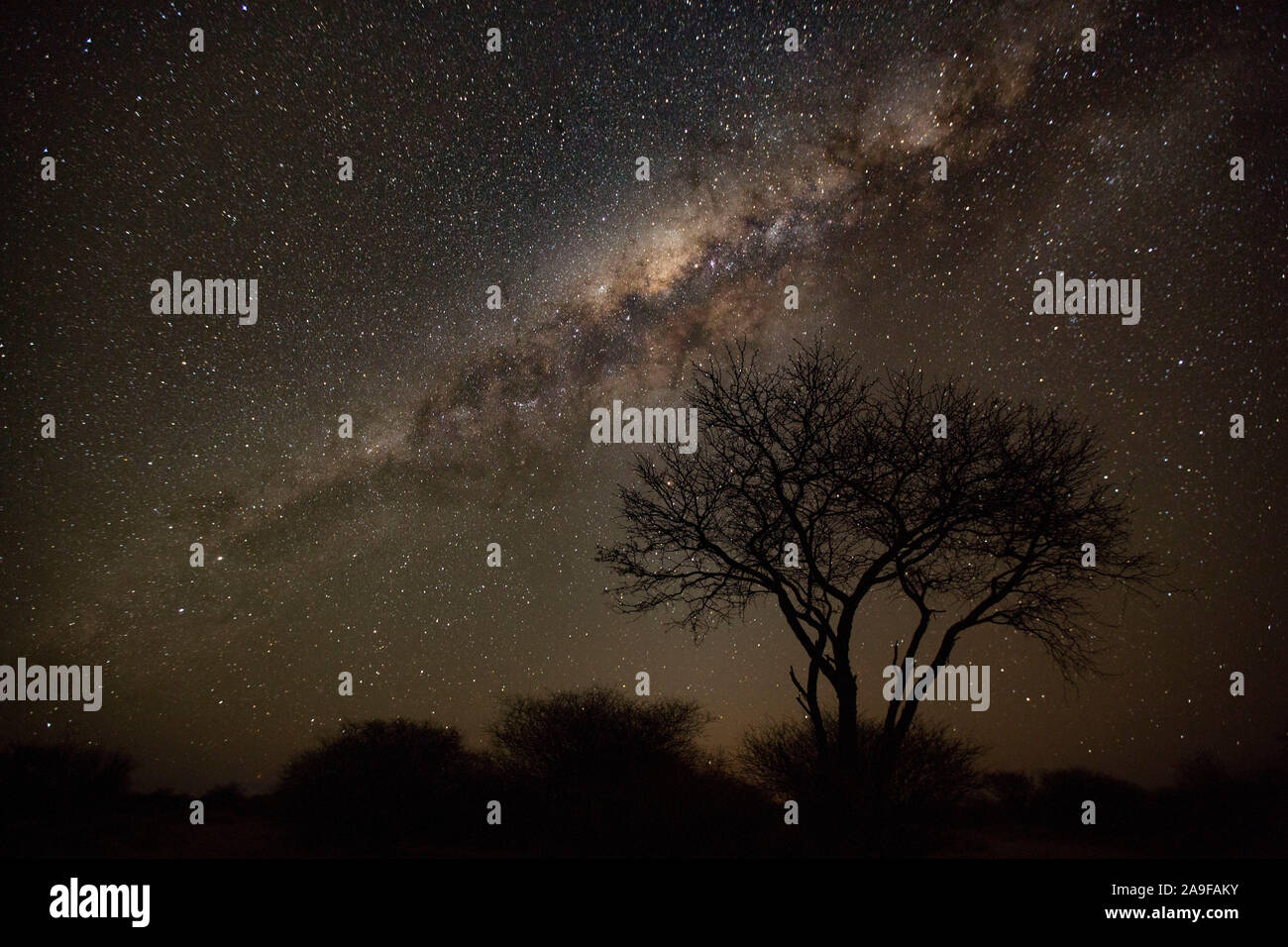 Milky Way over the Kalahari desert, southern Starry sky, Namibia Stock ...