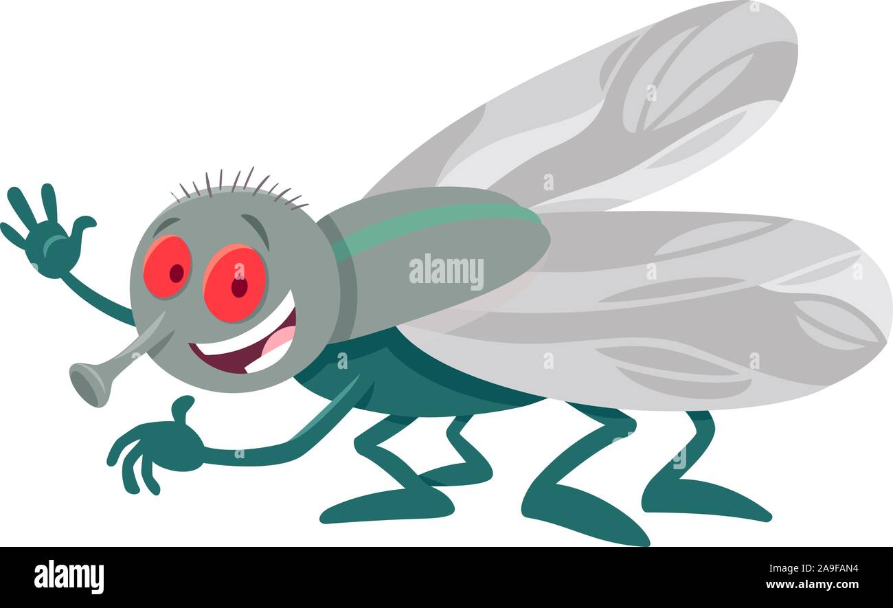 Cartoon Illustration of Funny Fly Insect Comic Animal Character Stock ...