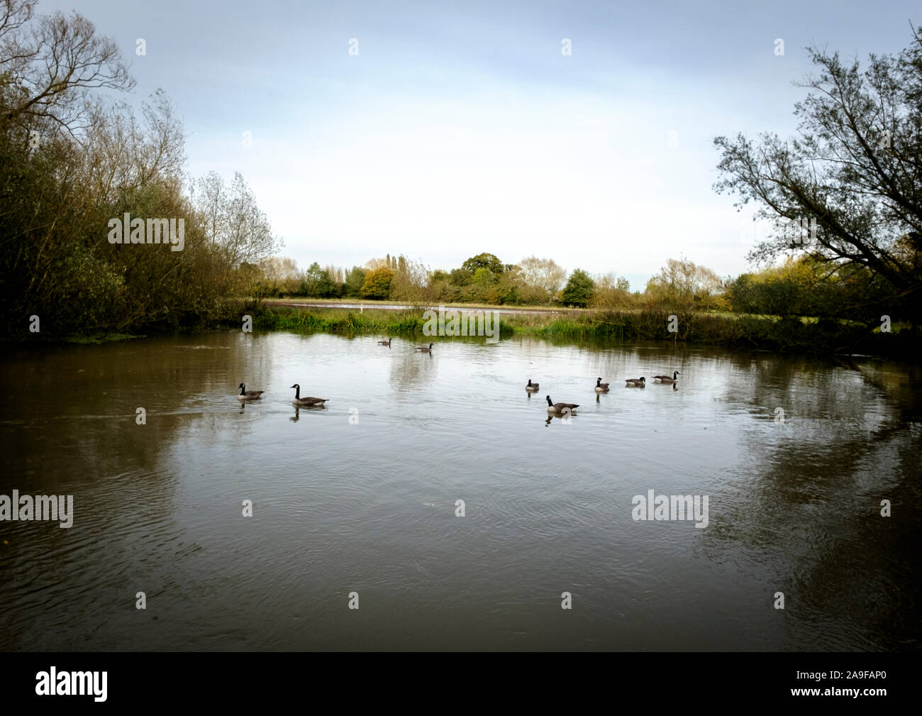 The River Cherwell flowing through the Oxford University Parks ...