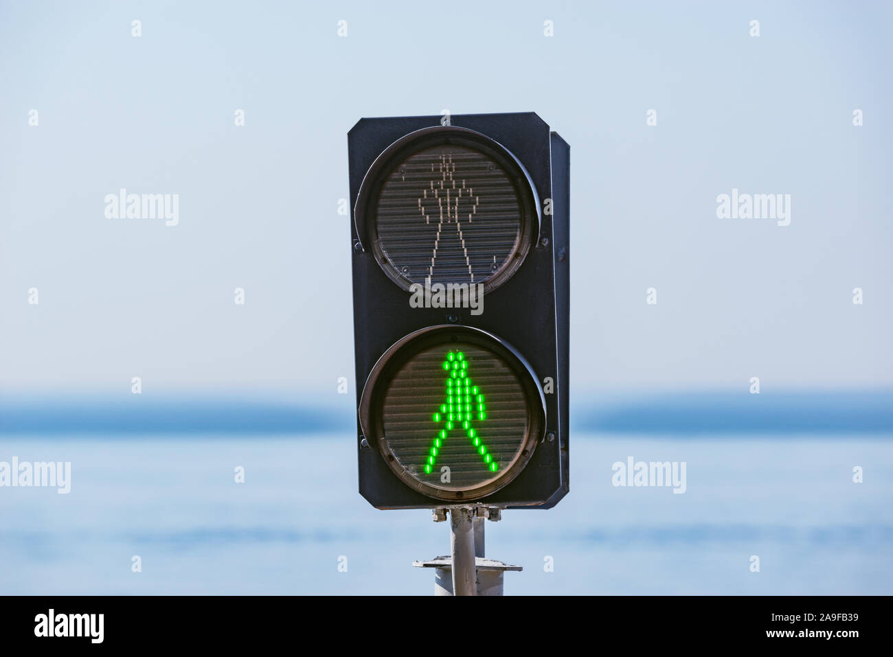 The green light of traffic light on the pedestrian crossing of a human ...