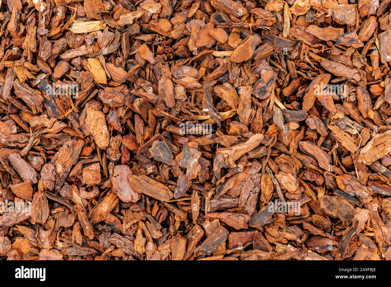 Bark flooring hi-res stock photography and images - Alamy