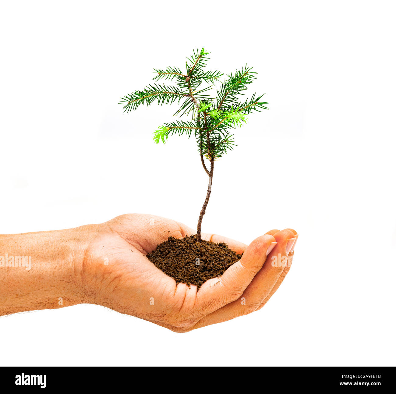 Young plant in hand hi-res stock photography and images - Alamy