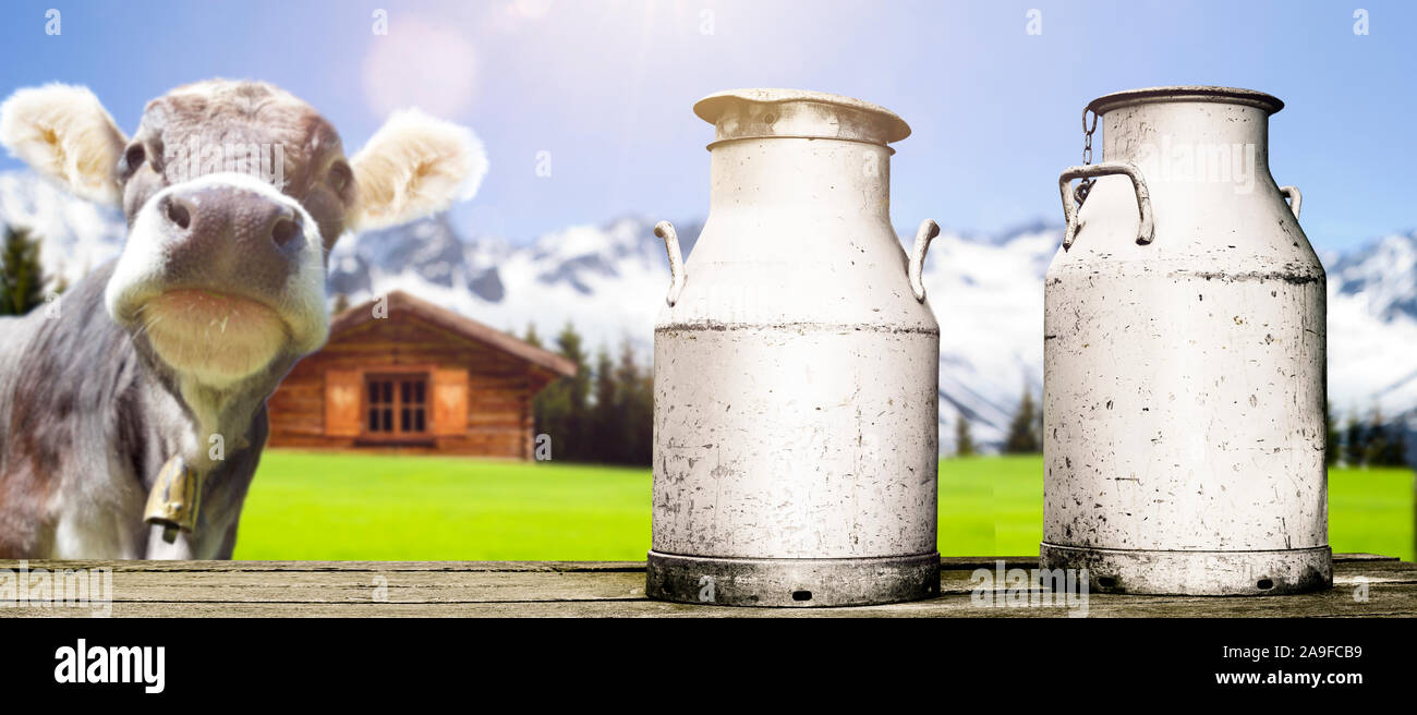 Milk churns and cows hi-res stock photography and images - Alamy