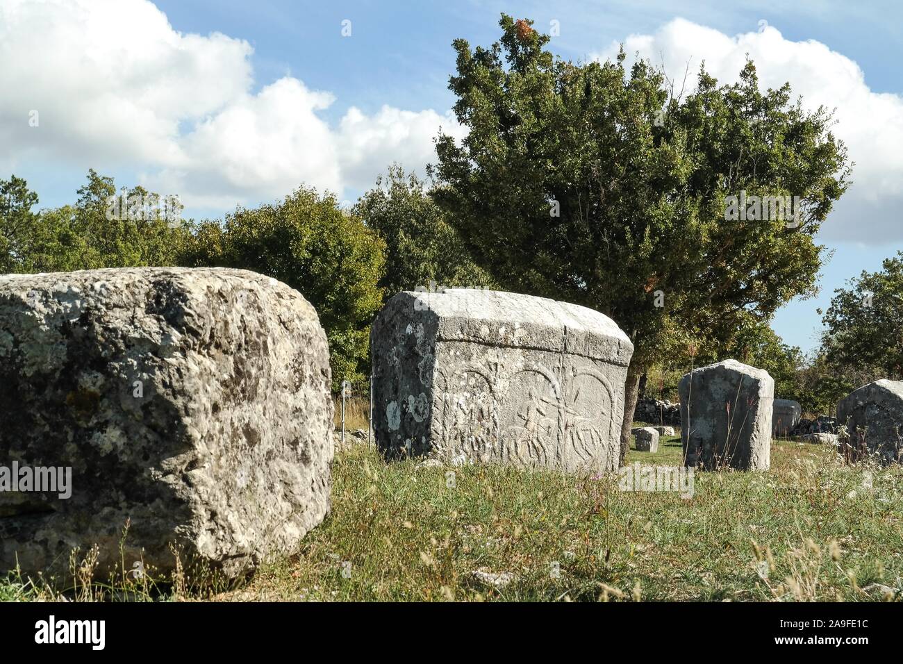 The Stecak necropolis Velika and Mala Crljivica Cista Velika, Croatia ...