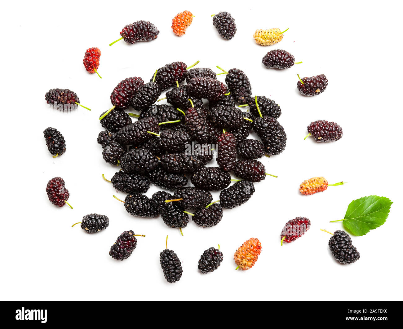 Fresh dark mulberries isolated on white background Stock Photo - Alamy