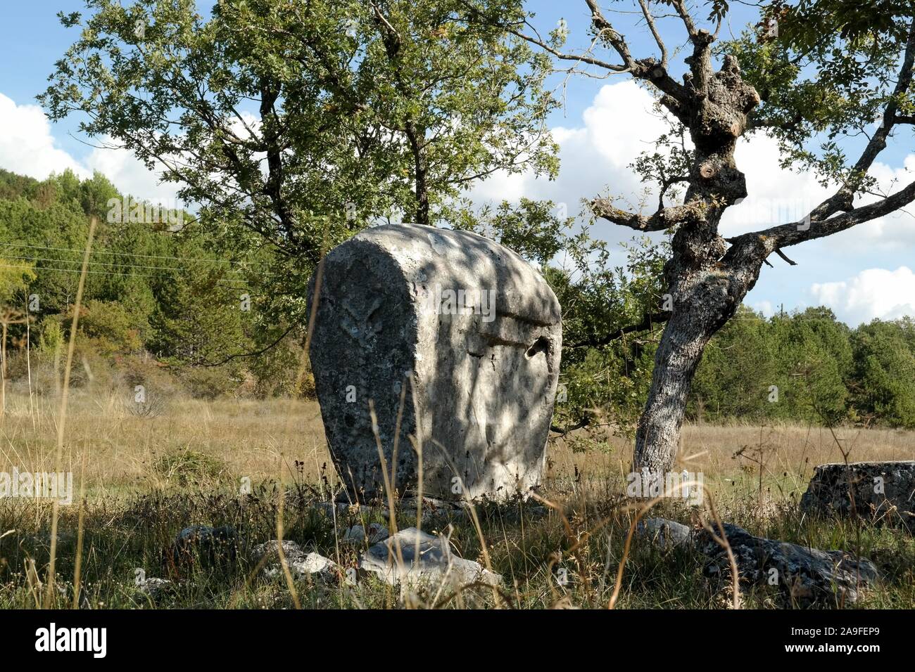 The Stecak necropolis Velika and Mala Crljivica Cista Velika, Croatia ...