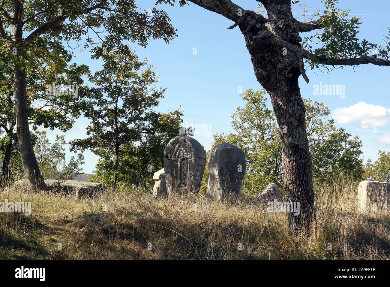 The Stecak necropolis Velika and Mala Crljivica Cista Velika, Croatia ...