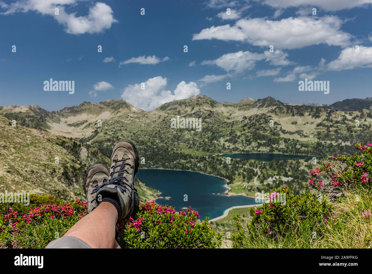 Looking between legs hi-res stock photography and images - Alamy