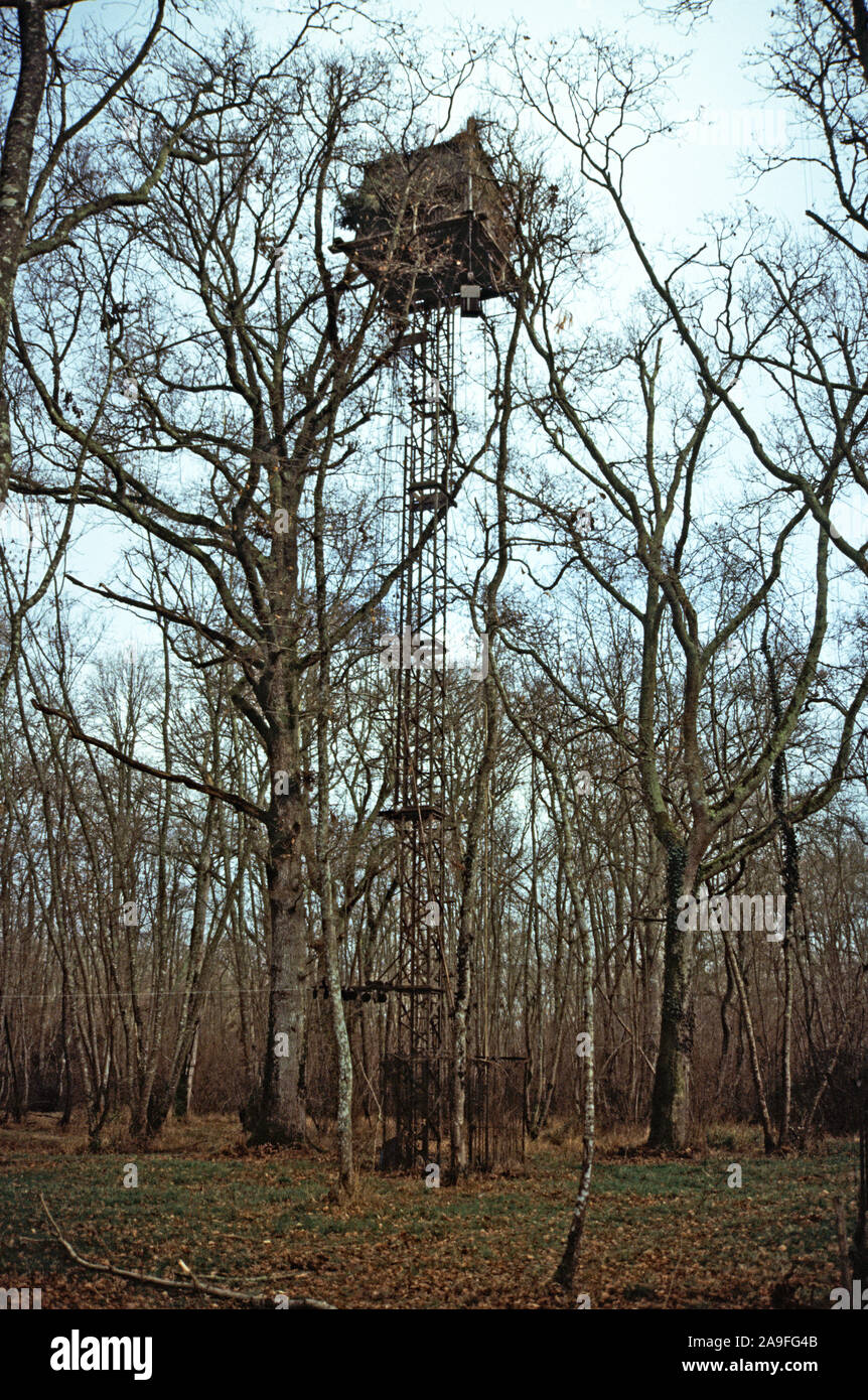 Woodpigeon 'Columba palumbus'.A hide (blind), for shooting woodpigeon ...