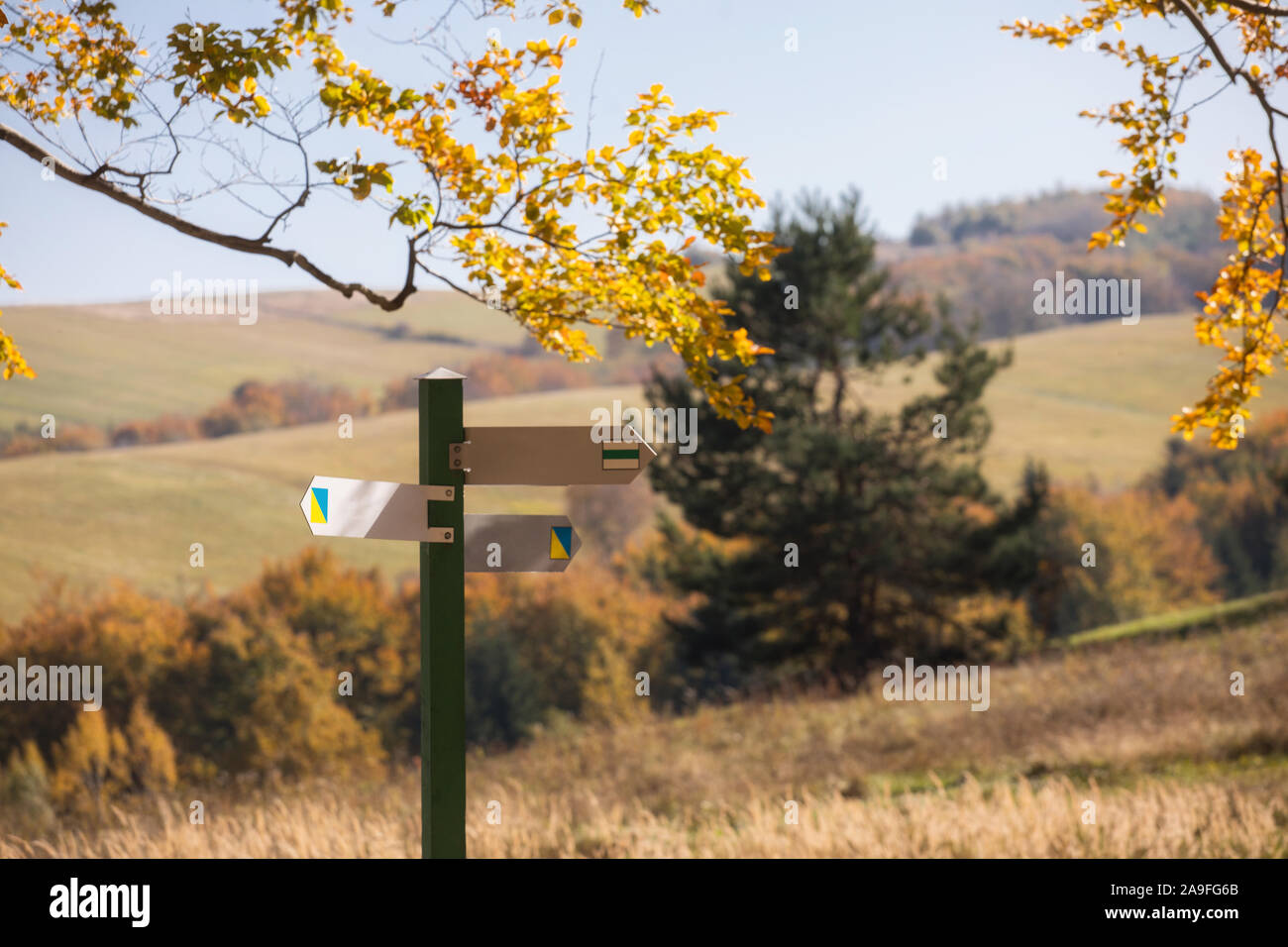 adventure travelers with holding a map to find directions and walking ...