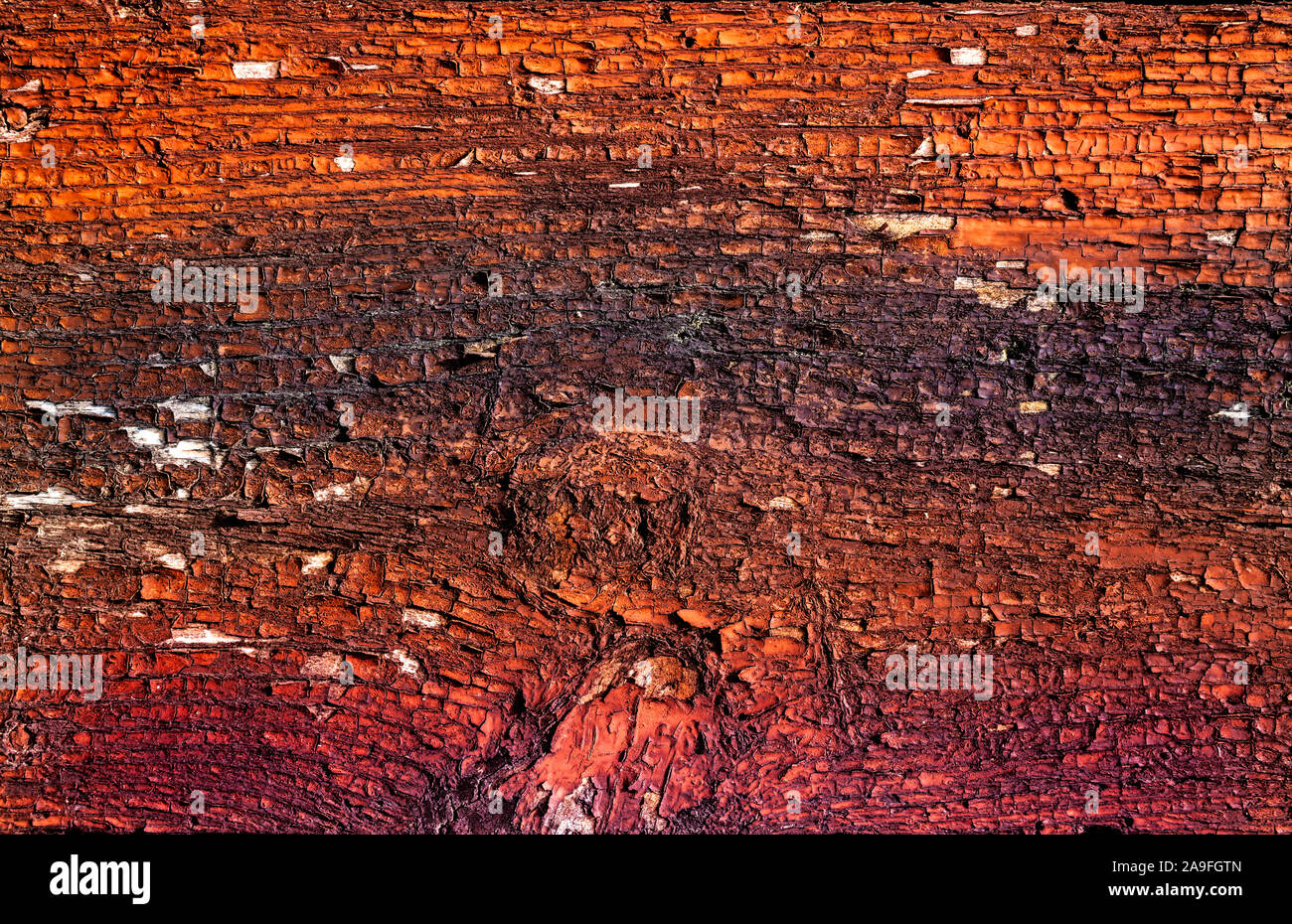 Wood background close-up Stock Photo - Alamy