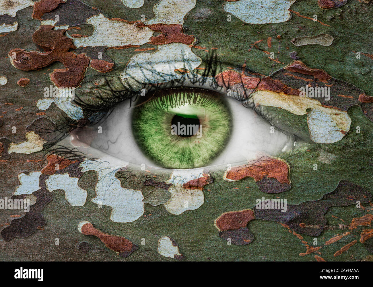 Eye color change hi-res stock photography and images - Alamy