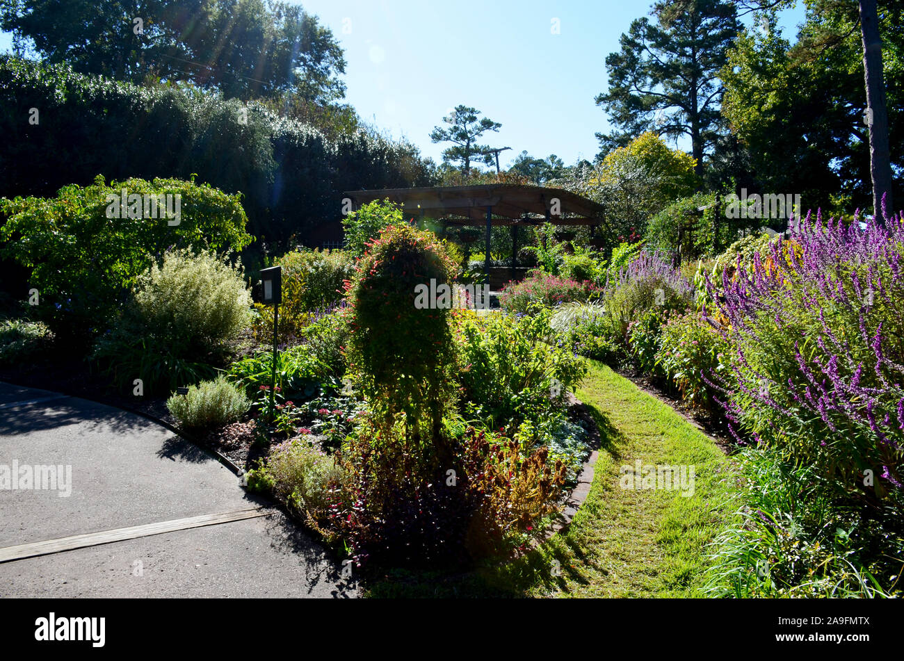 Tyler Rose Garden in Tyler, Texas Stock Photo - Alamy