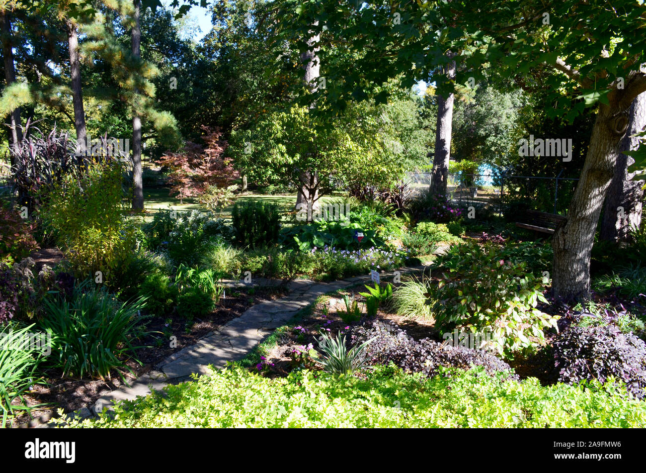 Tyler Rose Garden in Tyler, Texas Stock Photo - Alamy