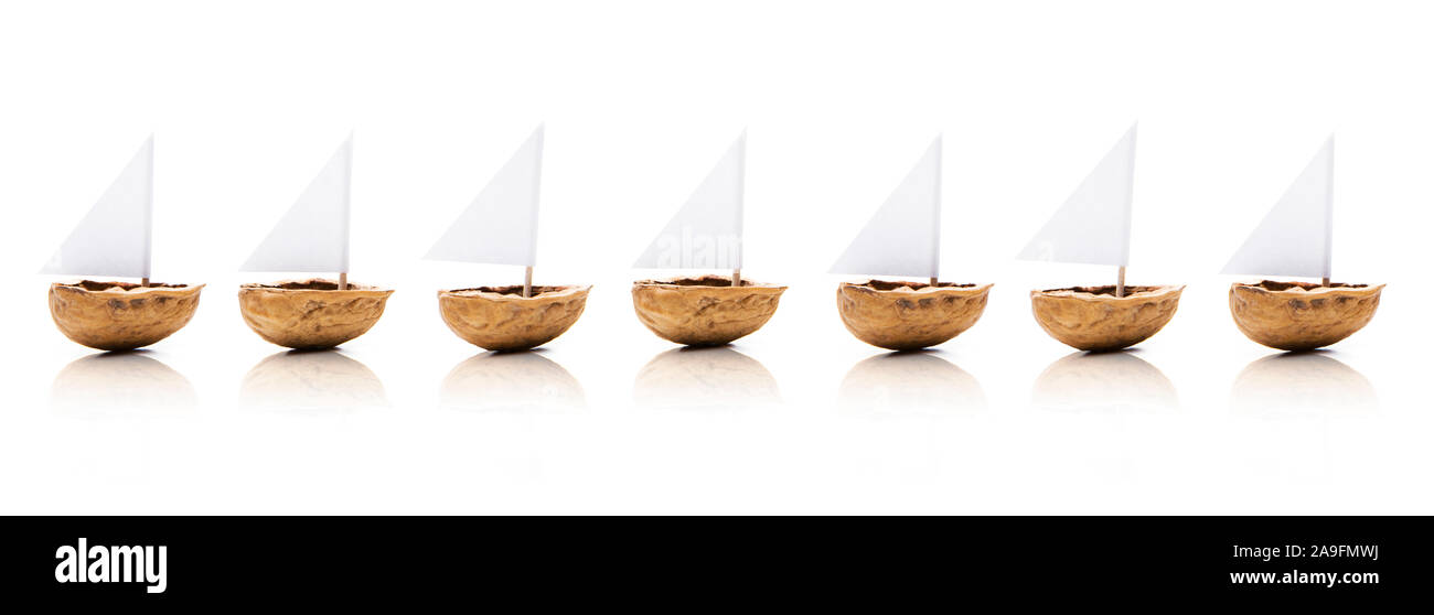 Shells made of nut shells in a row isolated on white background Stock ...