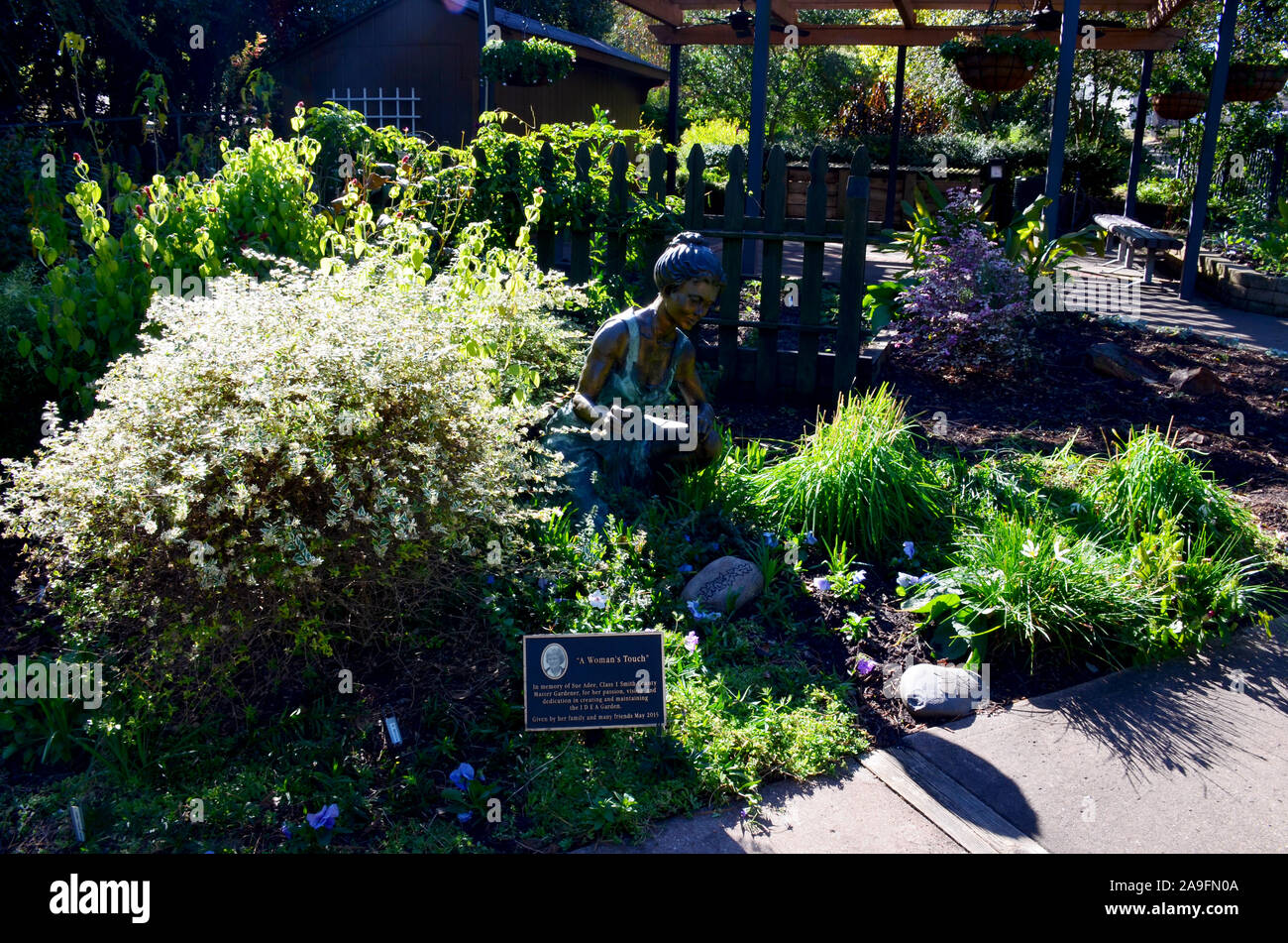 Tyler Rose Garden in Tyler, Texas Stock Photo - Alamy