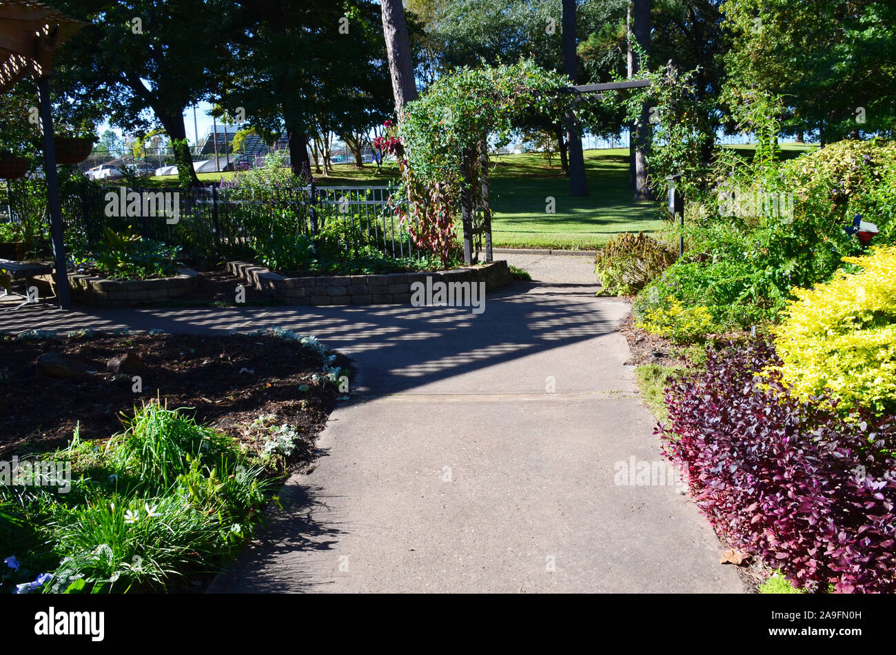 Tyler Rose Garden in Tyler, Texas Stock Photo - Alamy